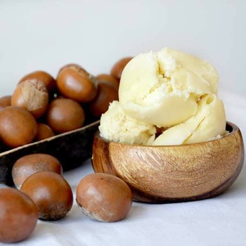 FEASIBILITY STUDY FOR SHEA BUTTER PRODUCTION - Liveandwingit